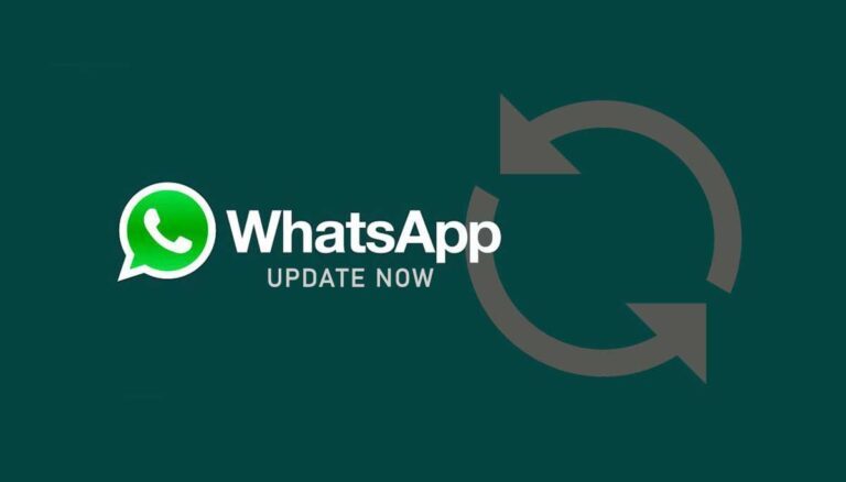 How to update whatsapp on iPhone, Android – 4 Ways [Updated!]